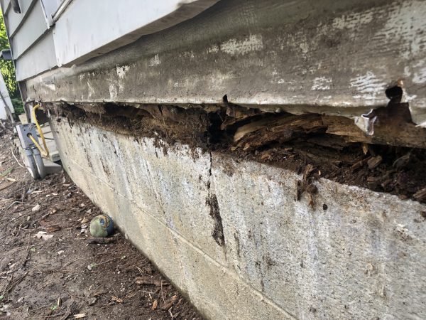 Foundation Repair Aapex Restoration And Remodeling Llc