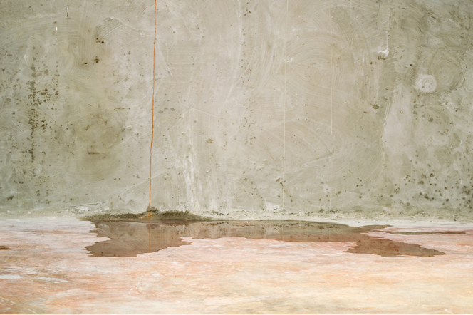 Commonly Overlooked Warning Signs of Water Intrusion - Aapex ...
