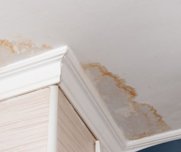 The Dangers of Untreated Water Damage in Your Home - Aapex Restoration & Remodeling LLC